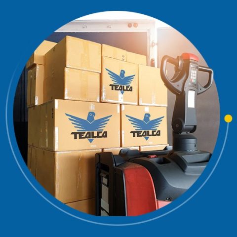 TEALCA Venezuela: Envío y distribución de encomiendas, carga y ...