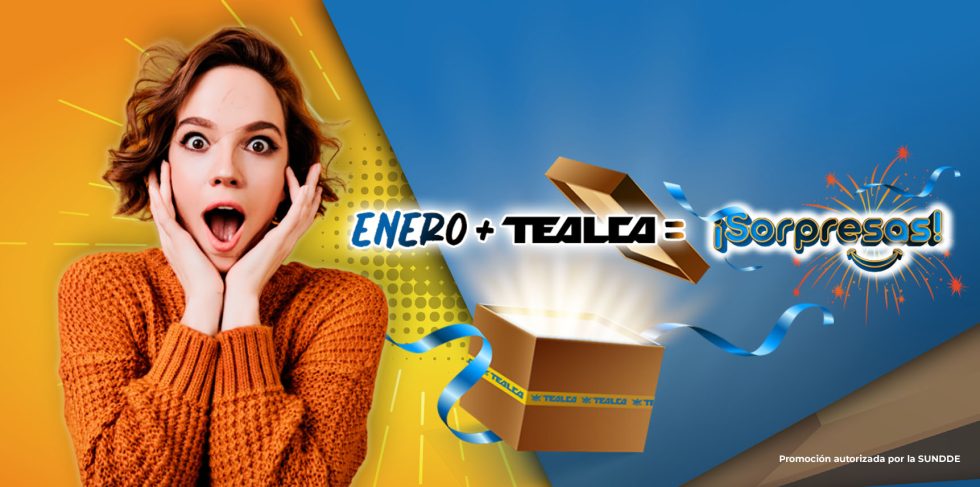 TEALCA Venezuela: Envío y distribución de encomiendas, carga y ...